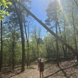 Hot Springs Sunset Trail Full Circle, Arkansas - 369 Reviews, Map ...