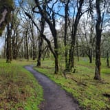 Baskett Slough, Morgan Lake, Mount Baldy Trail, Oregon - 517 Reviews ...