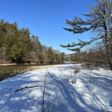 Saco River Trail, New Hampshire - 510 Reviews, Map | AllTrails