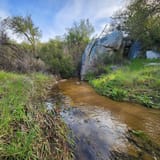 Morgan Trail, California - 453 Reviews, Map | AllTrails