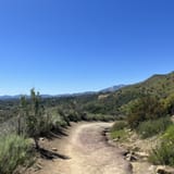Shelf Road Trail, California - 983 Reviews, Map | AllTrails
