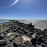 Albany Bulb, California - 393 Reviews, Map | AllTrails
