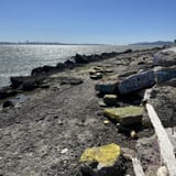 Albany Bulb, California - 393 Reviews, Map | AllTrails