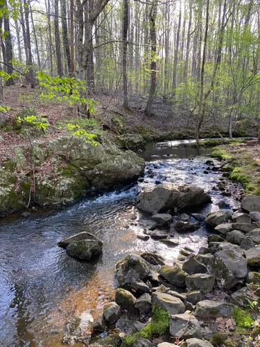 Best Hikes and Trails in Wilson Park | AllTrails