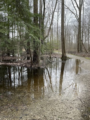 Best Hikes and Trails in Hell Hollow Wilderness Area | AllTrails