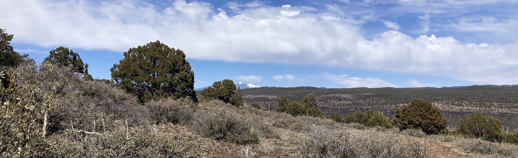 First Bench of Wilson Mountain: 2.010 foto's - Arizona | AllTrails