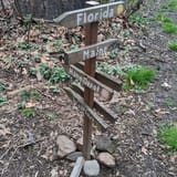 Lenape Trail , New Jersey - 496 Reviews, Map | AllTrails