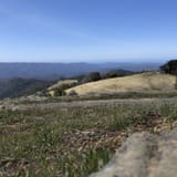Hickory Oak Ridge Trail Loop, California - 232 Reviews, Map | AllTrails