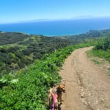 Vanderlip, Ishibashi Farm, Burma Road Loop [CLOSED], California - 434 ...