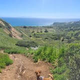 Vanderlip, Ishibashi Farm, Burma Road Loop [CLOSED], California - 434 ...