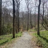 Rocky Run Trail, Virginia - 111 Reviews, Map | AllTrails