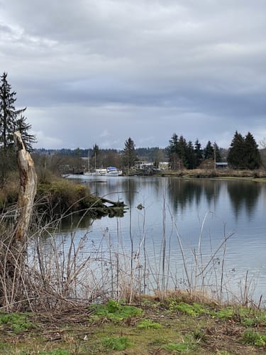 Best Hikes and Trails in Langus Riverfront Park | AllTrails