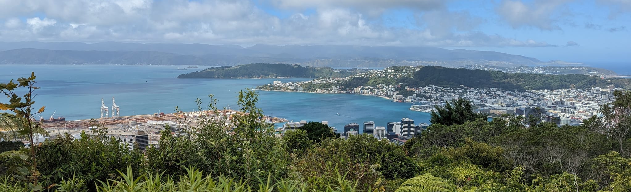 Te Ahumairangi Hill Lookout Loop: 46 foto's - Wellington, New Zealand ...