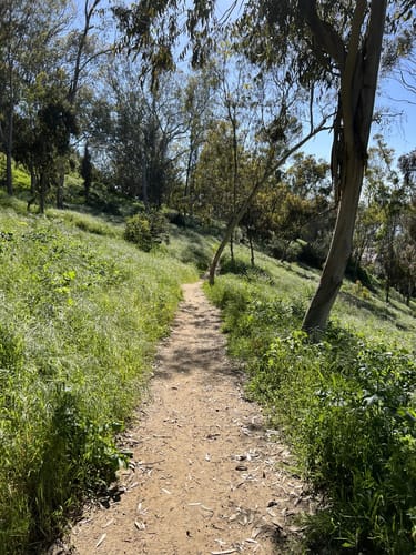 Best Hikes and Trails in Hosp Grove Park | AllTrails