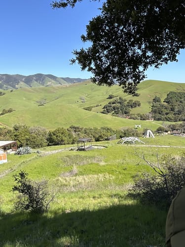 Best Hikes and Trails in Peterson Ranch | AllTrails