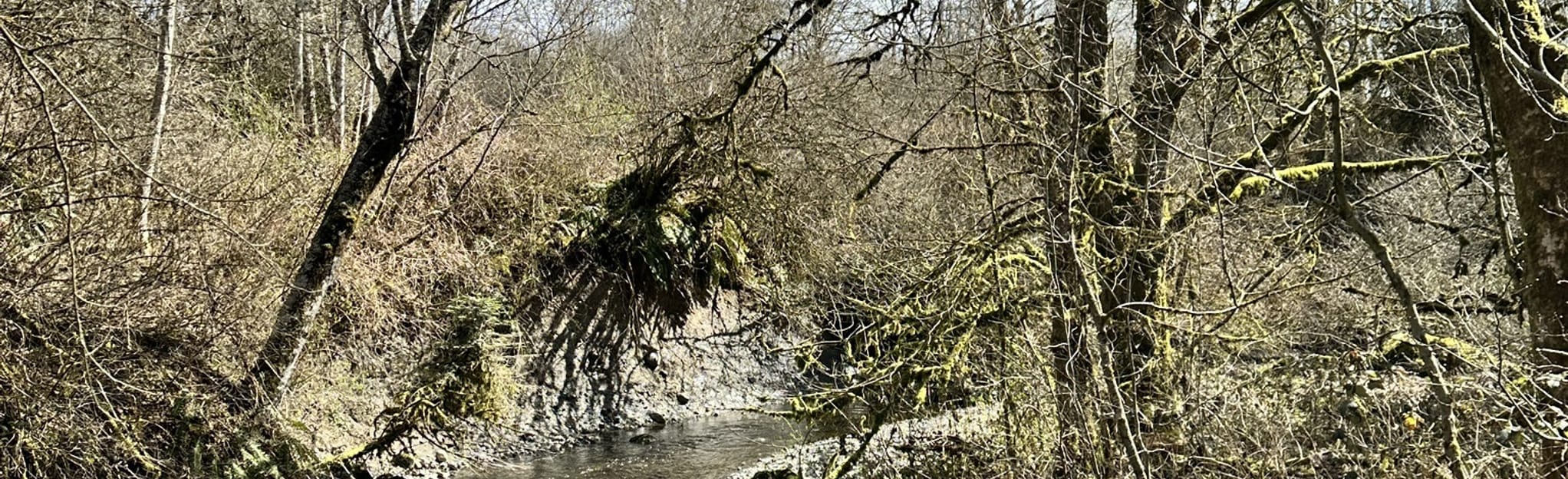 Serpentine Loop Trail: 164 Reviews, Map - British Columbia, Canada ...