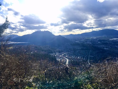 Best Hikes and Trails in Mount Thom Park | AllTrails