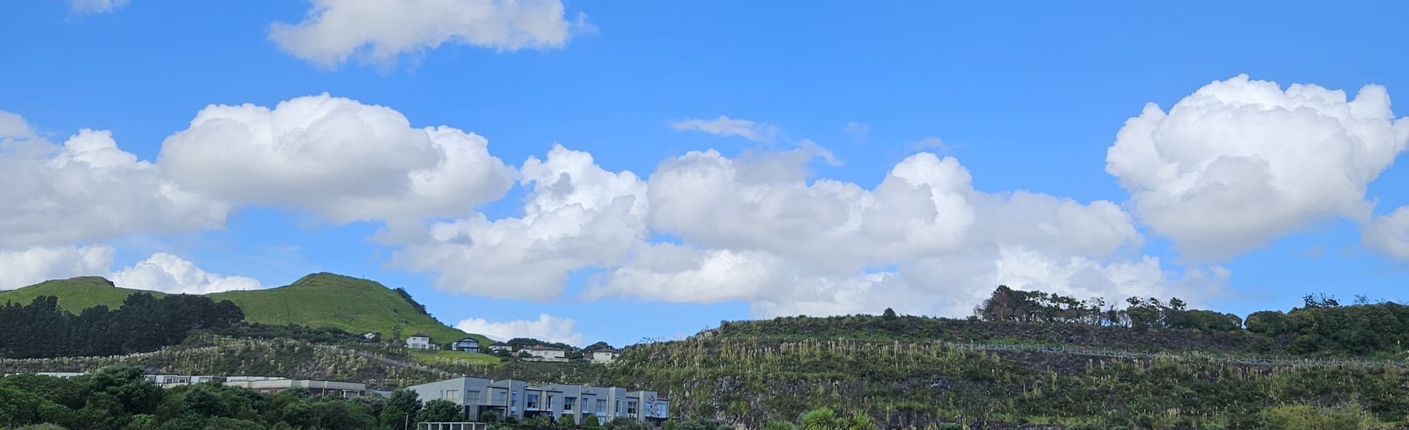 Stonefields Path Loop: 11 Reviews, Map - Auckland, New Zealand | AllTrails