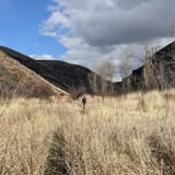 Umtanum Creek Canyon Trail, Washington - 133 Reviews, Map | AllTrails