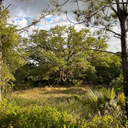 Best Hikes and Trails in Atlantic Ridge State Park | AllTrails