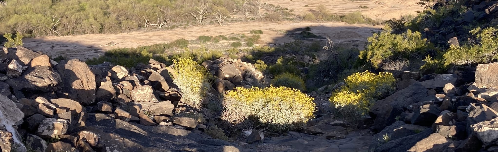 Oatman Massacre Site OHV Trail: 24 Reviews, Map - Arizona | AllTrails