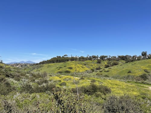 2023 Best trails in Chapparosa Park | AllTrails