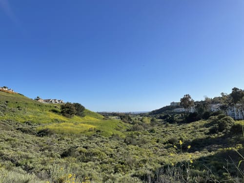 2023 Best trails in Chapparosa Park | AllTrails