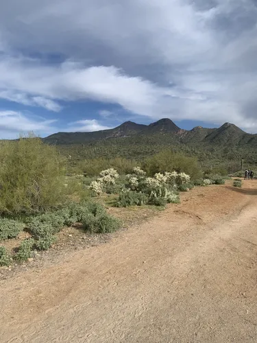 Best 10 Hiking Trails in Spur Cross Ranch Conservation Area | AllTrails