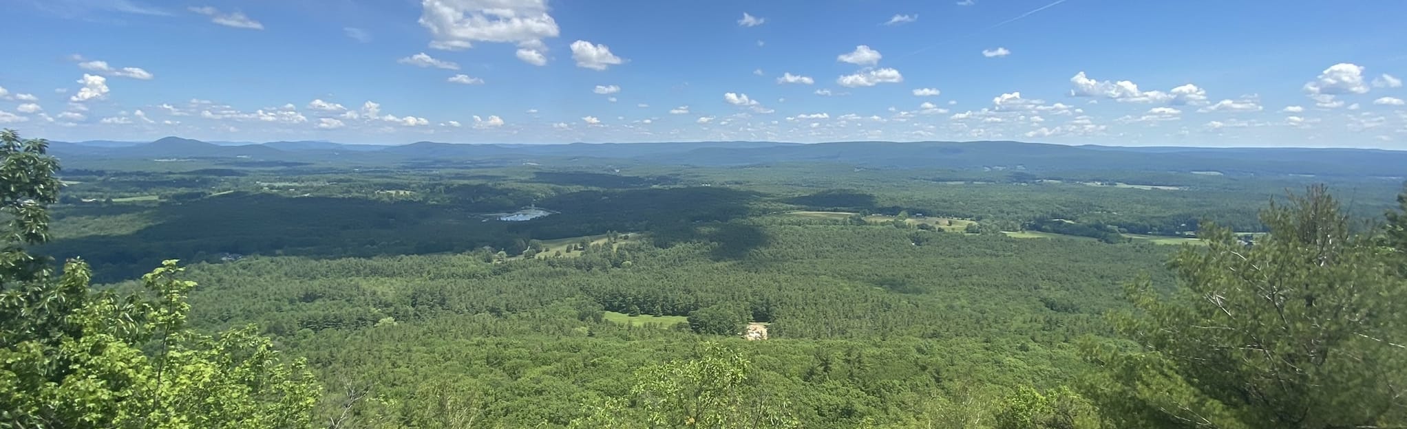 Jug End Mountain via Appalachian Trail, Massachusetts - 80 Reviews, Map | AllTrails