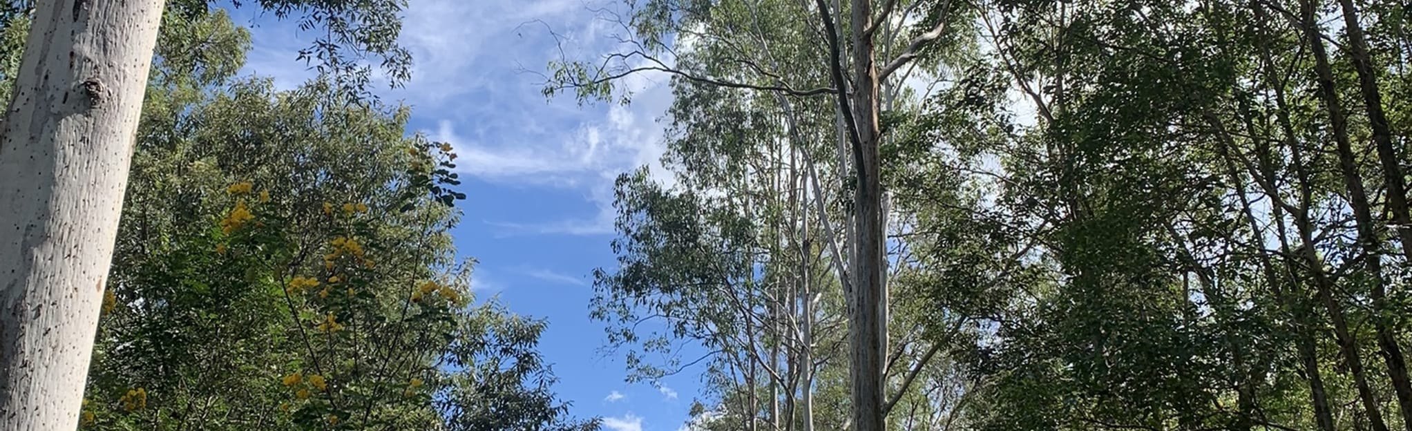 Lake Samsonvale McGavin View: 16 Reviews, Map - Queensland, Australia ...