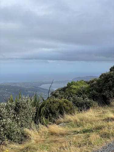 Best Hikes and Trails in Mount Cargill Scenic Reserve | AllTrails