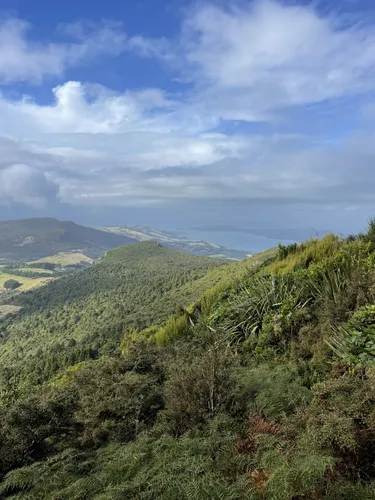 Best Hikes and Trails in Mount Cargill Scenic Reserve | AllTrails