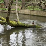 Itchen River Walk: Southampton to Winchester, Hampshire, England - 201 ...