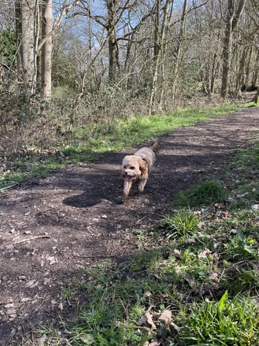 Best Hikes and Trails in Wrabness Nature Reserve | AllTrails