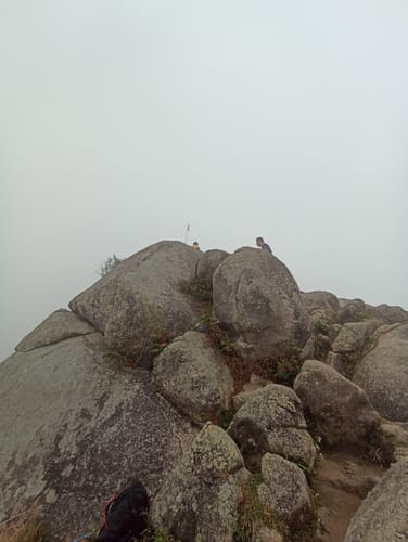 2023 Best Trails near TM Bukit Tampin | AllTrails