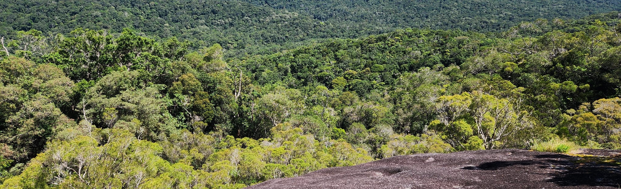 Lake Paluma, Crystal Creek Falls, and Buttercup Lookout: 11 Reviews ...