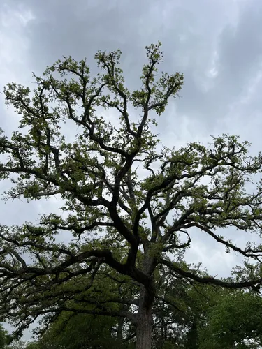 Best Hikes and Trails in Wolf Pen Creek Park | AllTrails