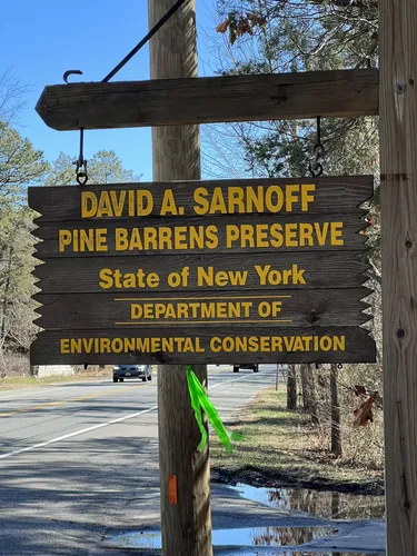 Best Hikes and Trails in Peconic Bog County Park | AllTrails