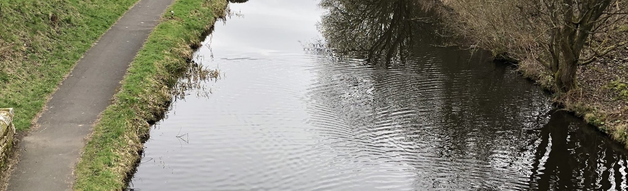 AllTrails | Helix and Callendar Woods Circular: 10 Reviews, Map ...