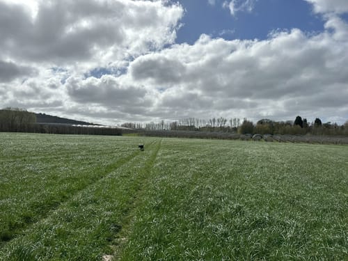 Las mejores rutas para pasear en Blean Woods Nature Reserve en 2023 ...