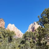 Sand Bench Trail, Utah - 536 Reviews, Map | AllTrails