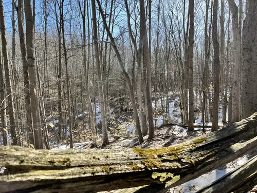 Best Hikes and Trails in Rockwood Conservation Area | AllTrails