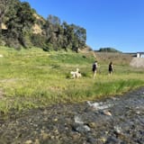 Colby Trail, California - 811 Reviews, Map | AllTrails