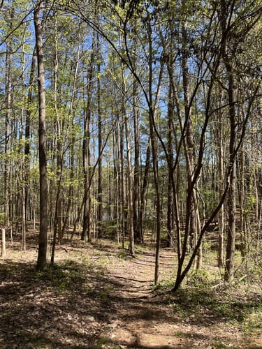 Best Hikes and Trails in Apex Community Park | AllTrails