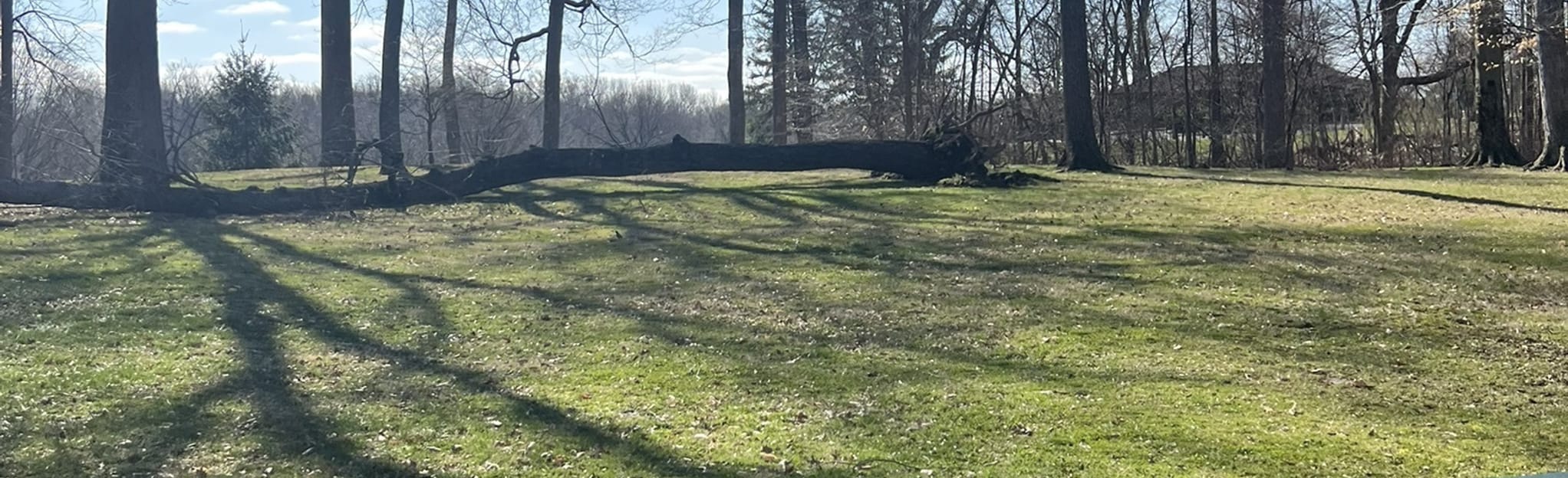 White River Greenway from Forest Park Trailhead: 67 Reviews, Map ...