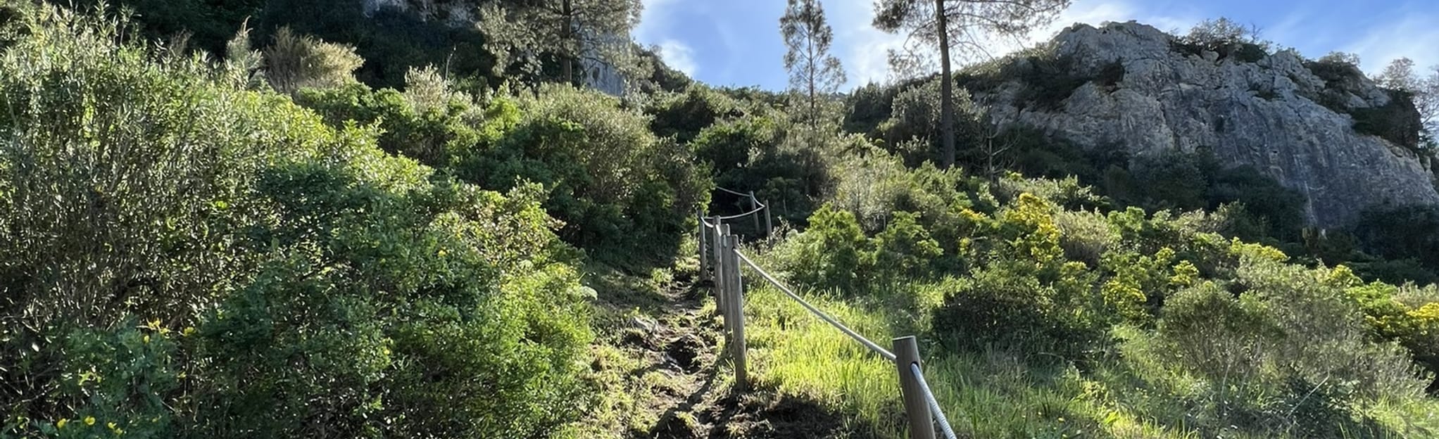 Reguengo do Fetal - Pragosa - Andorrinha - Alqueidão, 18 Fotos - Leiria ...