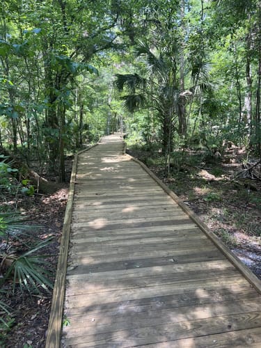 2023 Best Easy Trails in Goethe State Forest | AllTrails