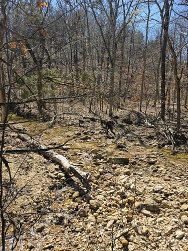 Best Hikes and Trails in Spring Creek Gap Conservation Area | AllTrails