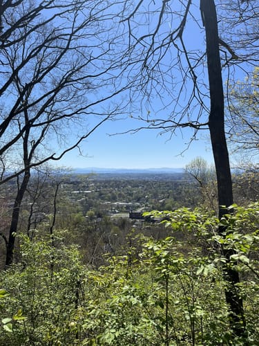 Best Hikes and Trails in Sharps Ridge Memorial Park | AllTrails