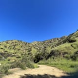 Shelf Road Trail, California - 983 Reviews, Map | AllTrails